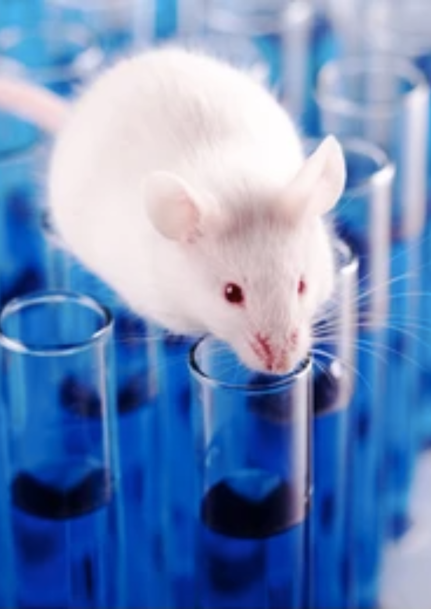 Albumins, IgG, Animal Serum & Plasma | Equitech-bio Inc.